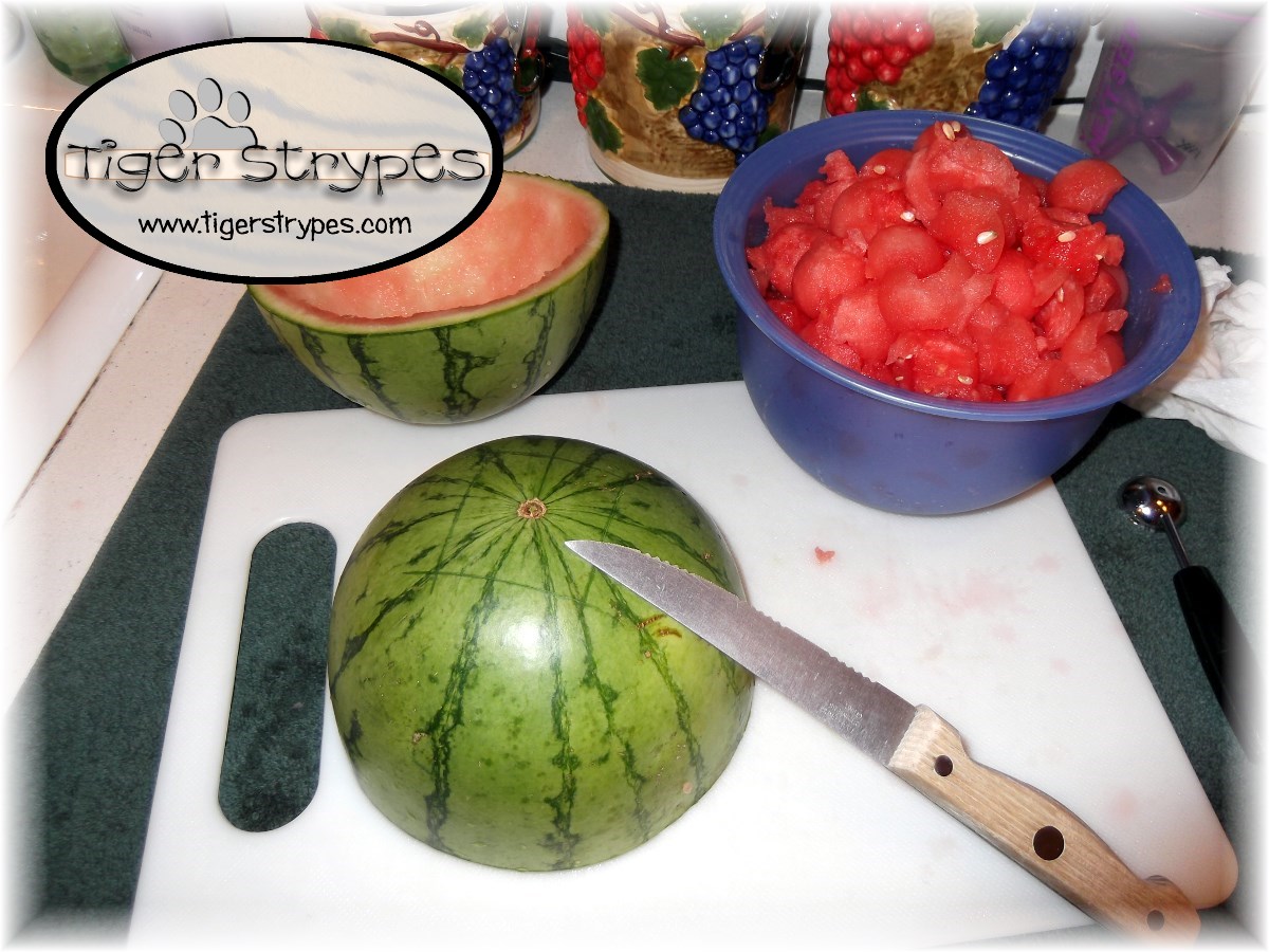 Create a Watermelon BBQ For Your Party! #TigerStrypesBlog