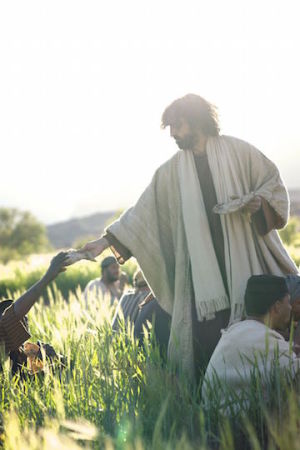 Have You Heard of the Lumo Project? - TigerStrypes Blog