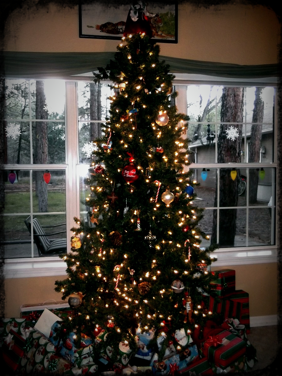 The Symbol of the Christmas Tree - TigerStrypes Blog