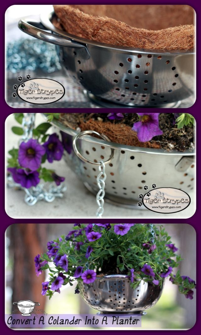 Convert A Colander Into A Planter - #TBCCrafters