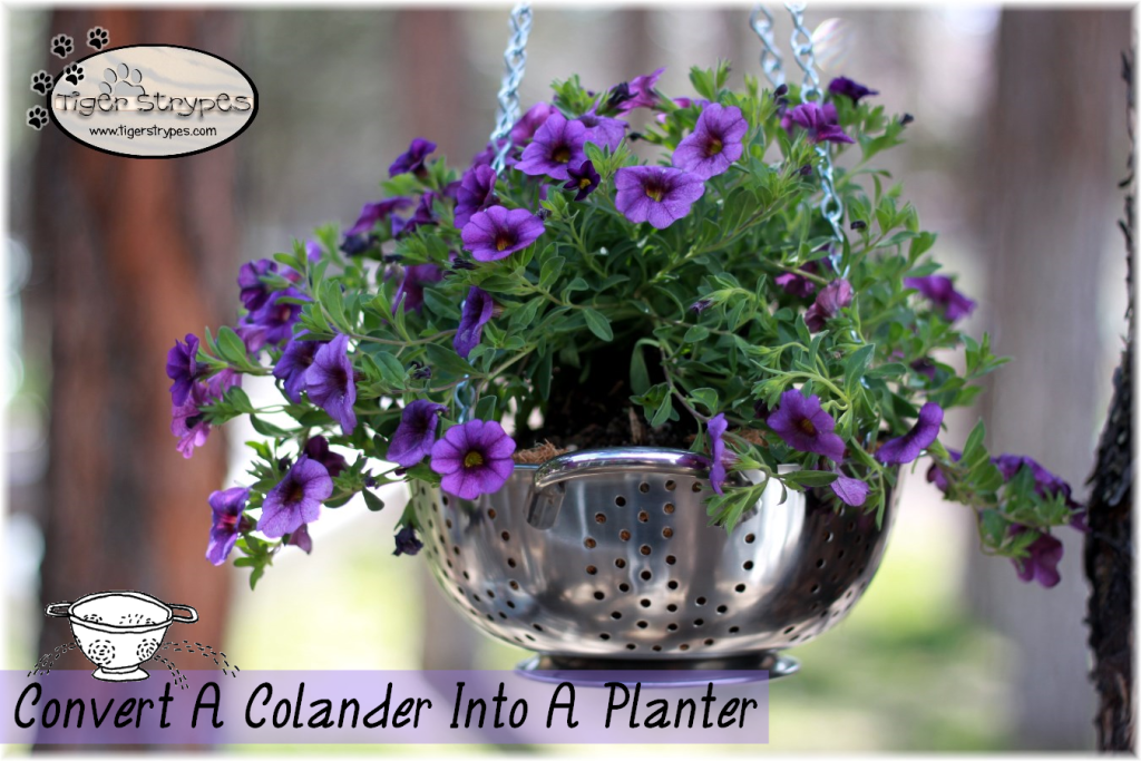 Convert A Colander Into A Planter - #TBCCrafters