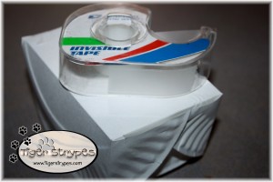 Learn to Create a Paper Plate Gift Box #TigerStrypesBlog