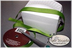 Learn to Create a Paper Plate Gift Box #TigerStrypesBlog