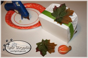 Learn to Create a Paper Plate Gift Box #TigerStrypesBlog
