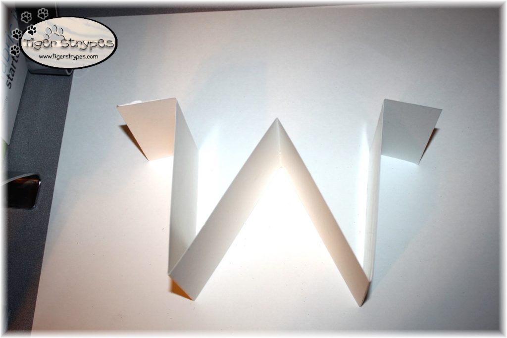 Create a Photo Book Craft #DIY #Memories #TigerStrypesBlog