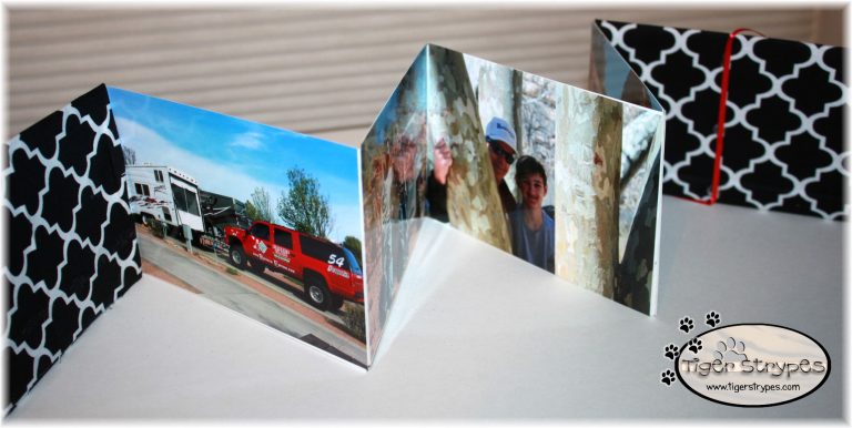 Create a Photo Book Craft #DIY #Memories #TigerStrypesBlog