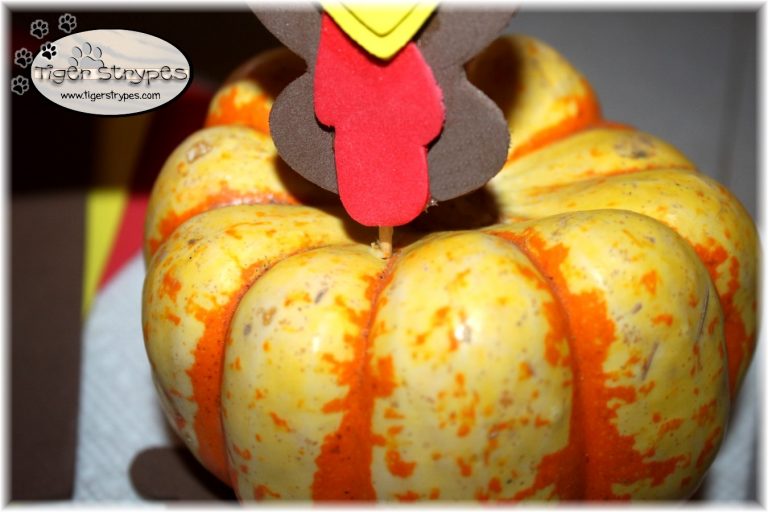 Learn How to Make a Mini Pumpkin Turkey Craft #TigerStrypesBlog