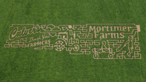 Mortimer Farms - Have Some Fun #PumpkinFestival #TigerStrypesBlog