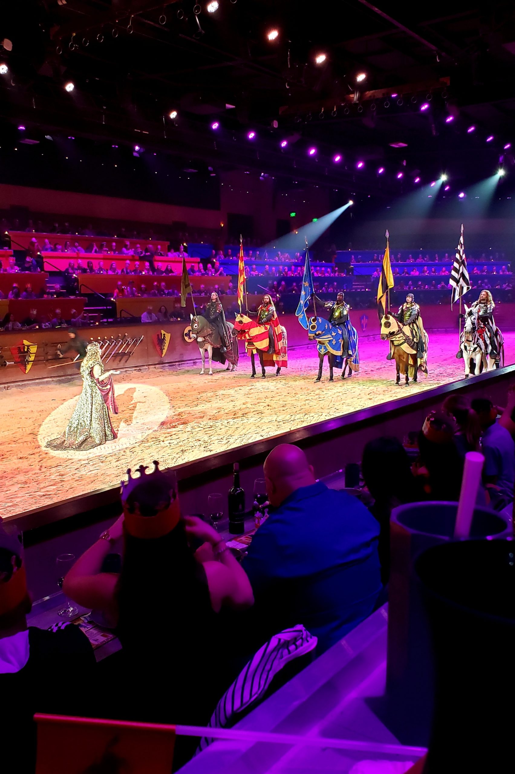 We Had a Great Time at Medieval Times in Scottsdale #TigerStrypesBlog