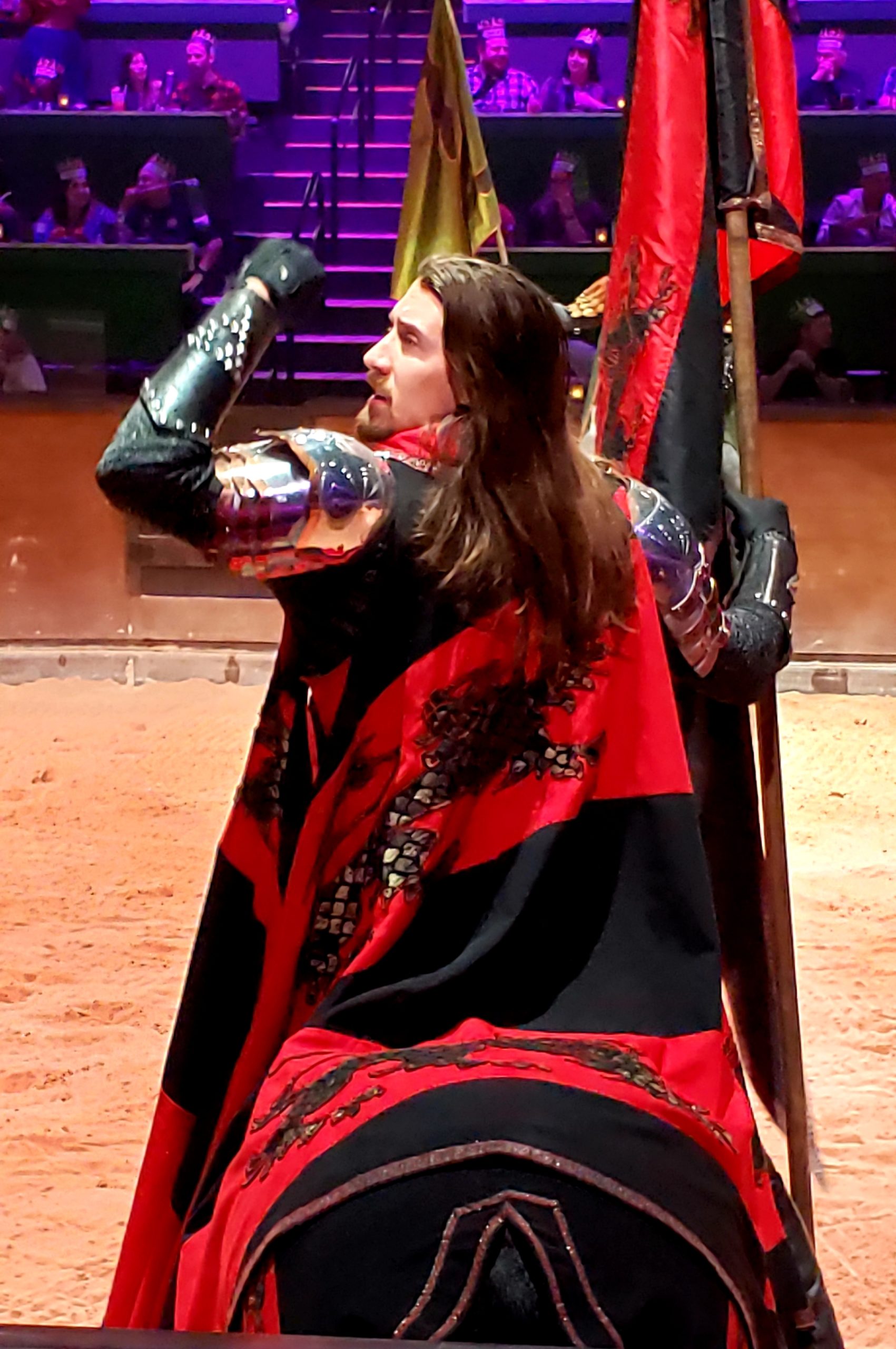 We Had a Great Time at Medieval Times in Scottsdale #TigerStrypesBlog