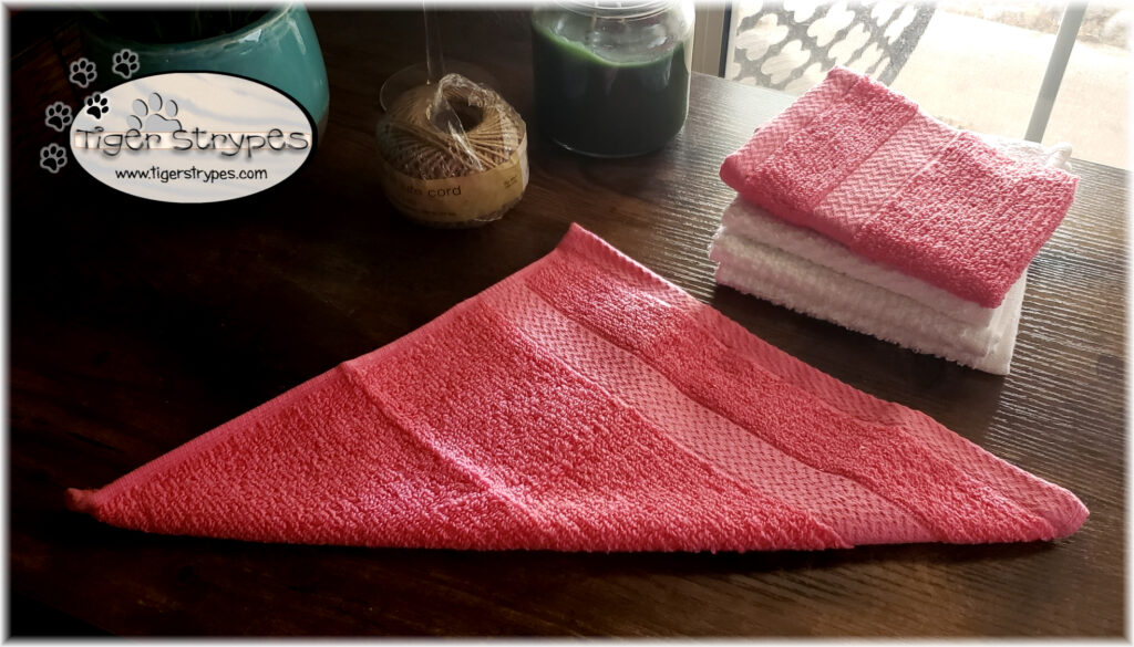 Make a Raggedy Bunny Craft Project #TigerStrypesBlog