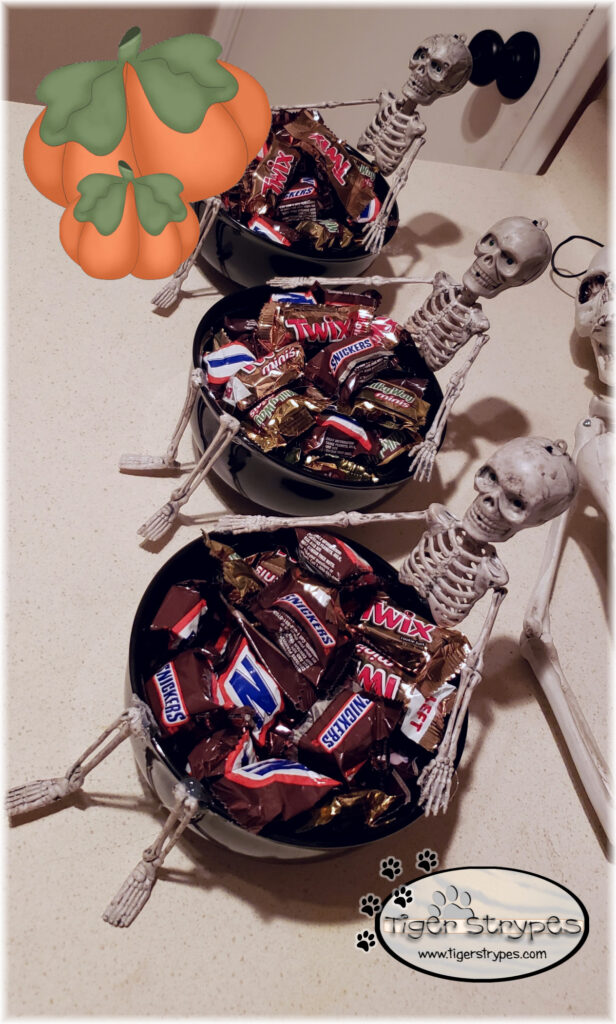 Skeleton Candy Bowl for Halloween #TigerStrypesBlog