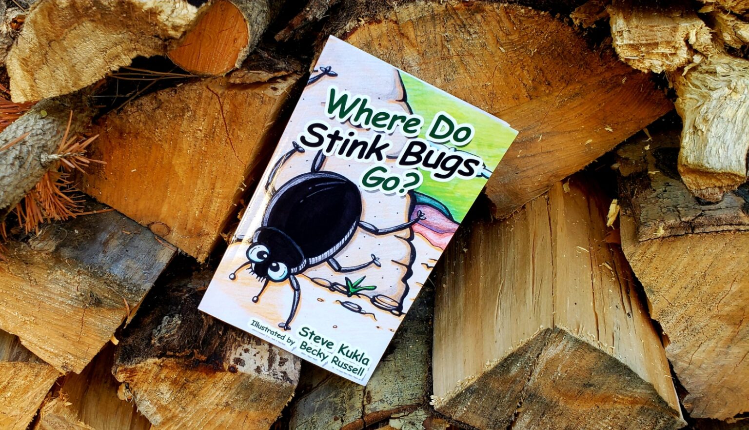 Where Do Stink Bugs Go? Book Review #TigerStrypesBlog