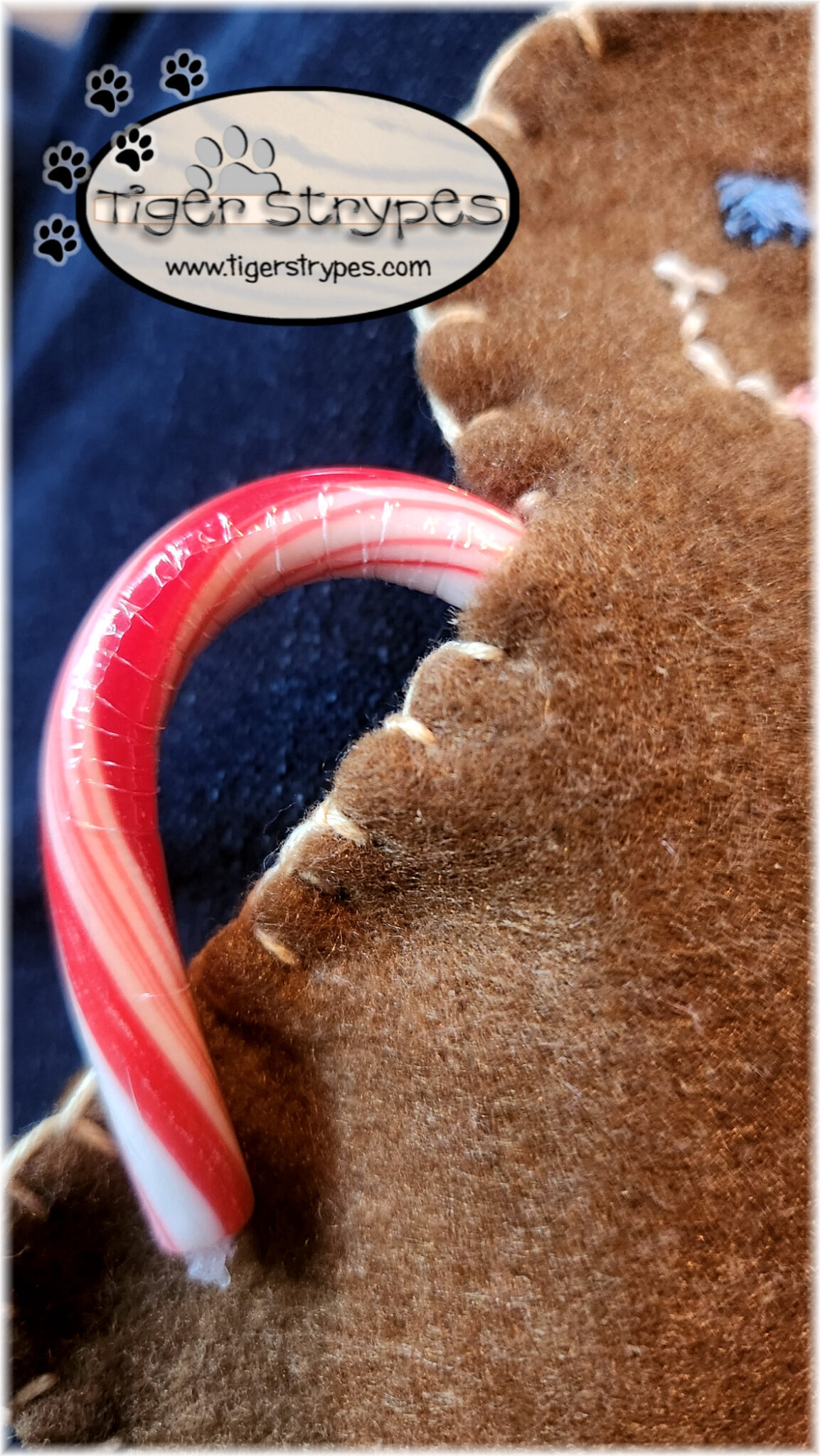 Gingerbread Candy Cane Couple (DIY/Craft) #TigerStrypesBlog